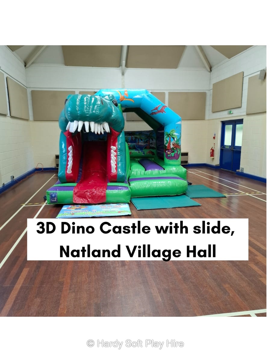 3D Dinosaur Castle with Slide - Bouncy Castle Hire in Kendal, Lancaster ...