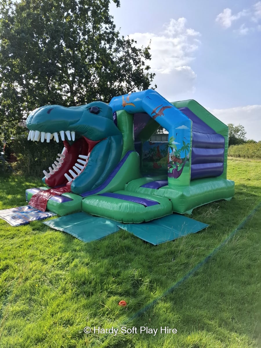 3D Dinosaur Castle with Slide - Bouncy Castle Hire in Kendal, Lancaster ...